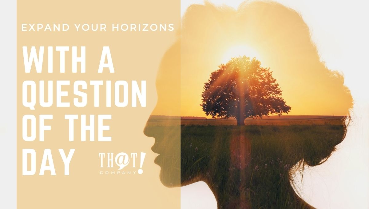 Question of the Day | Keep Your Sales Pitch Fresh With These Questions