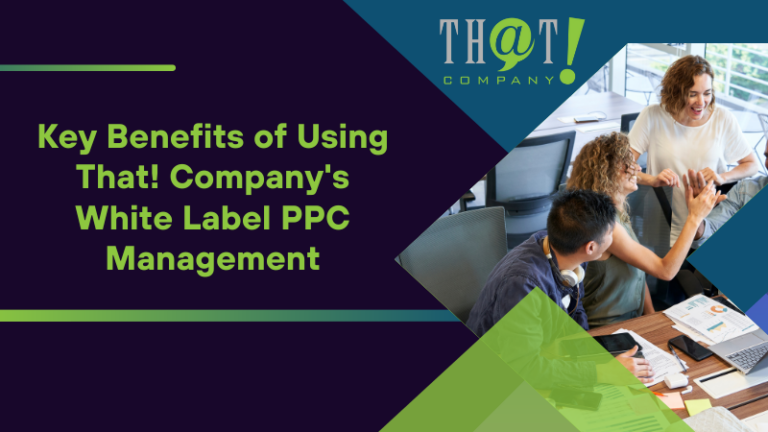 What is PPC Manager? | Key Roles and Benefits Explained